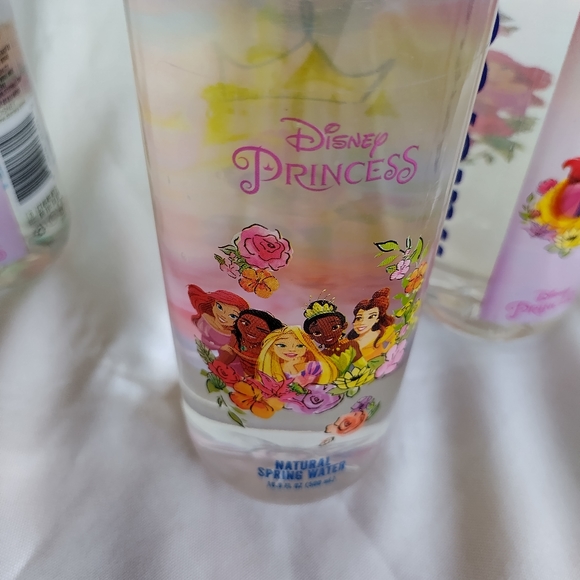 Disney | Art | Disney Princess Water | Poshmark